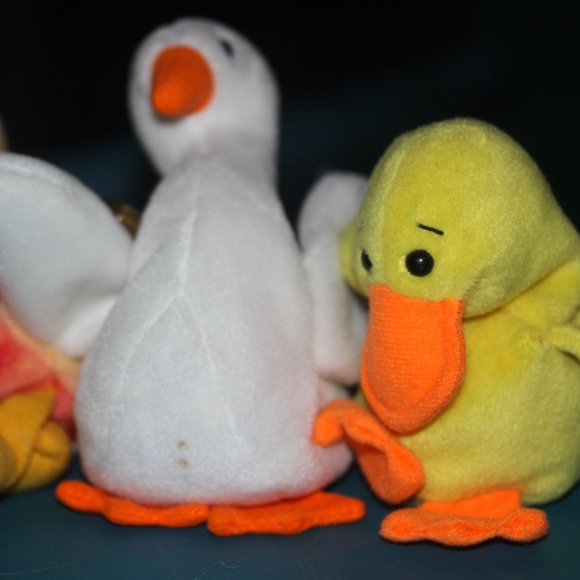 Ty | Toys | Ty Beanie Baby Babies Lot Of 5 Birds Quackers Gracie Strut ...